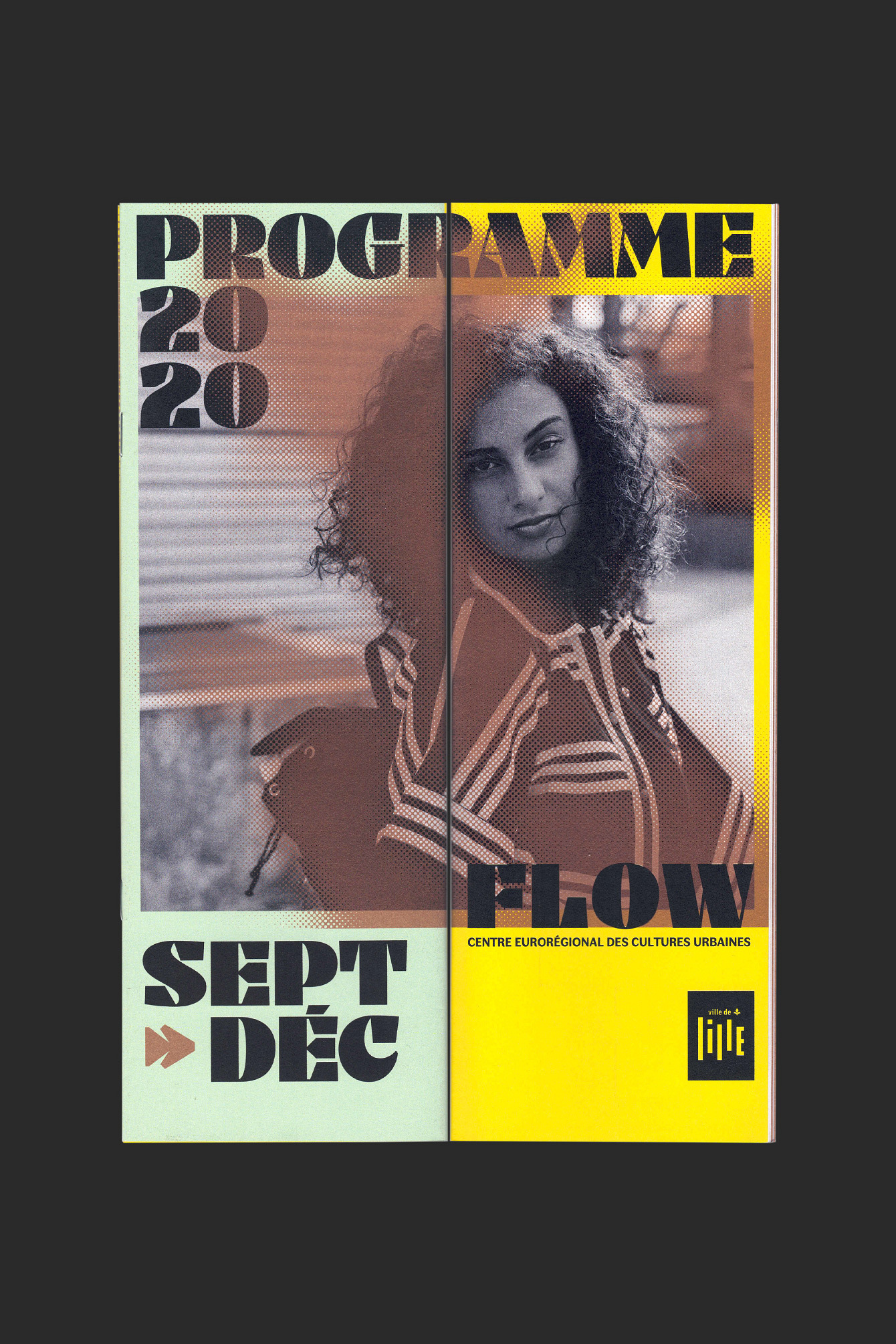 Programme 2020 du Flow (Lille) - Atelier télescopique